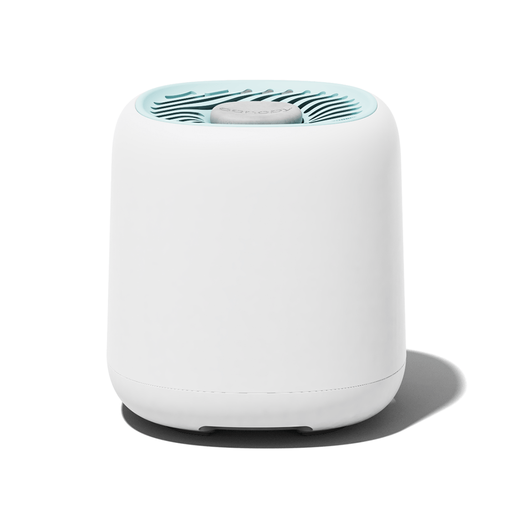 Reese's Book Club Store